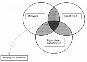 Theorie - Joseph Renzulli - Dineke van Kooten