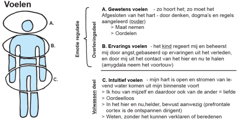 Voelen - Dineke van Kooten