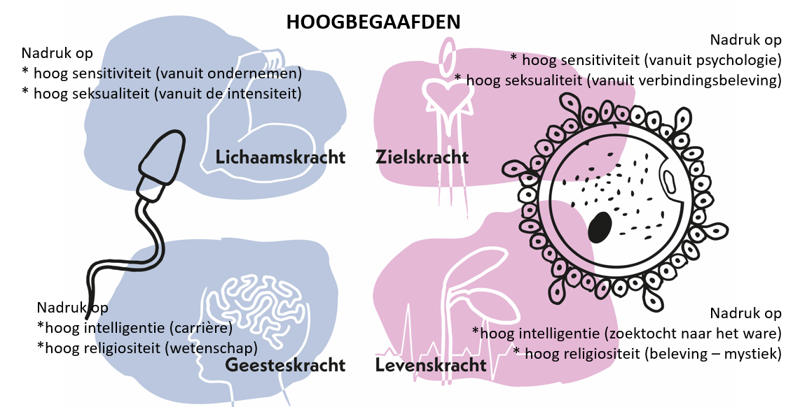 Man-vrouw verschillen in hoogbegaafdheid - Dineke van Kooten