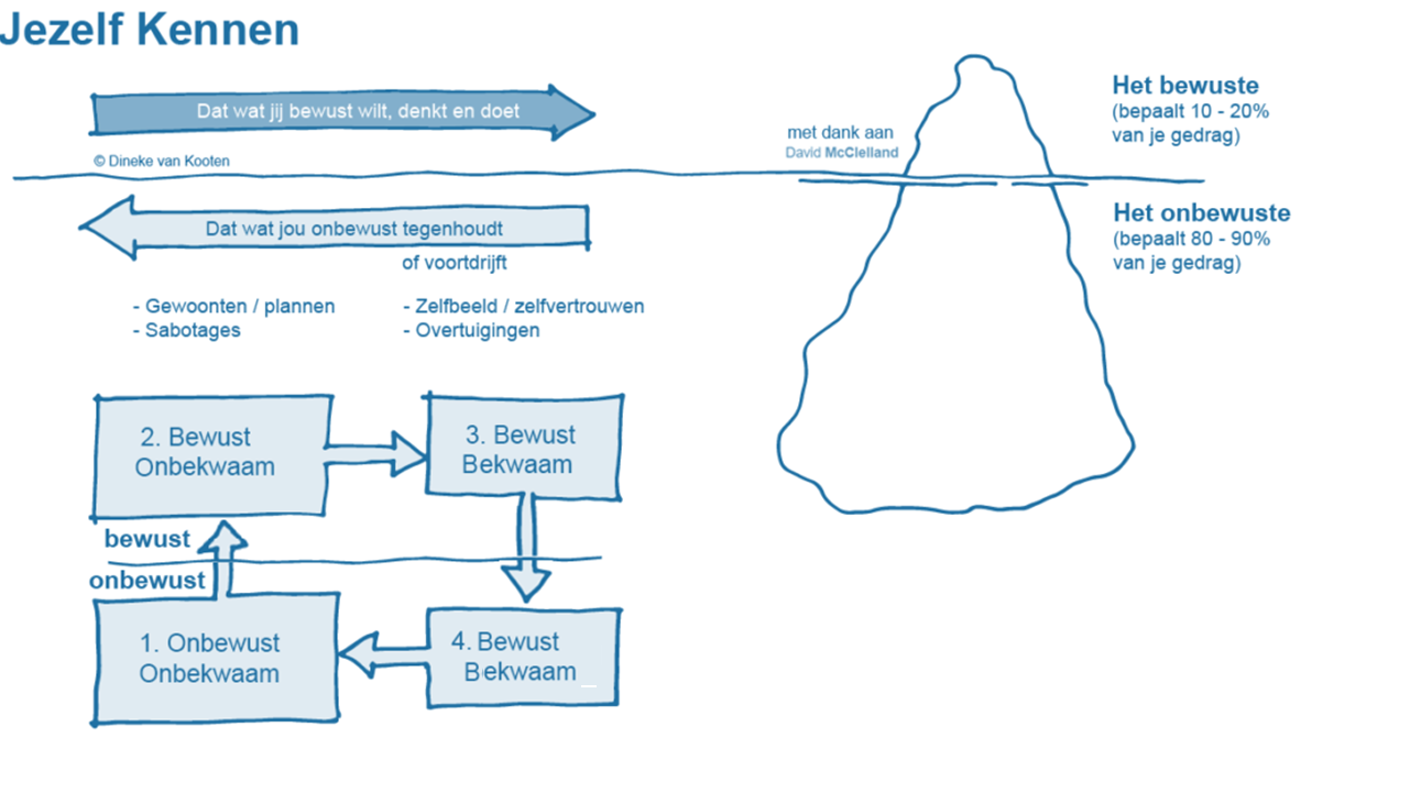 IJsberg - jezelf kennen - Dineke van Kooten