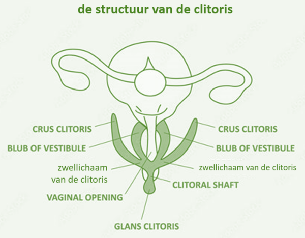 Orgasmekloof: kenniskloof - Dineke van Kooten